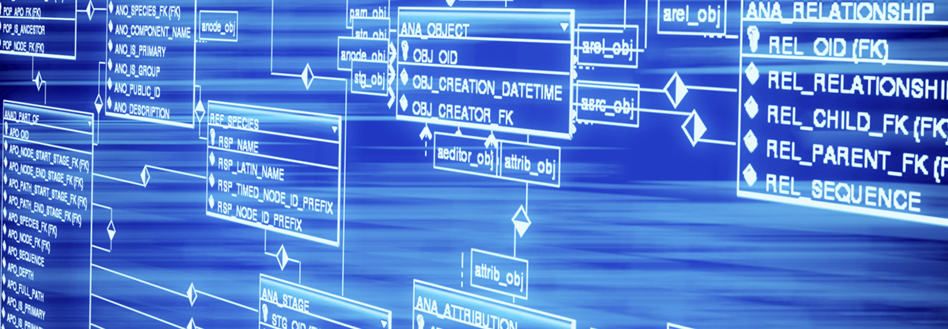 Dell Gives Students Free Analytics Tool as Data Science Market Blooms ...