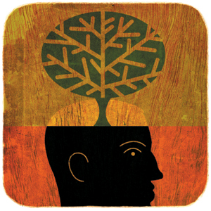 How to Make Your Own Infographics | EdTech Magazine