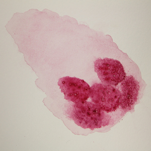 Art and Science Unite in Watercolor Paintings of Cells - EdTech