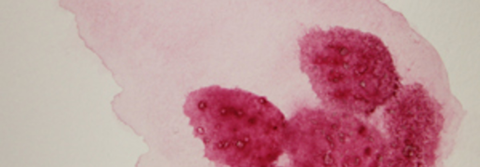 Art and Science Unite in Watercolor Paintings of Cells | EdTech Magazine