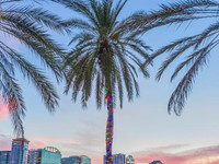 Calculating Firsts: A Visual History of Calculators - EdTech